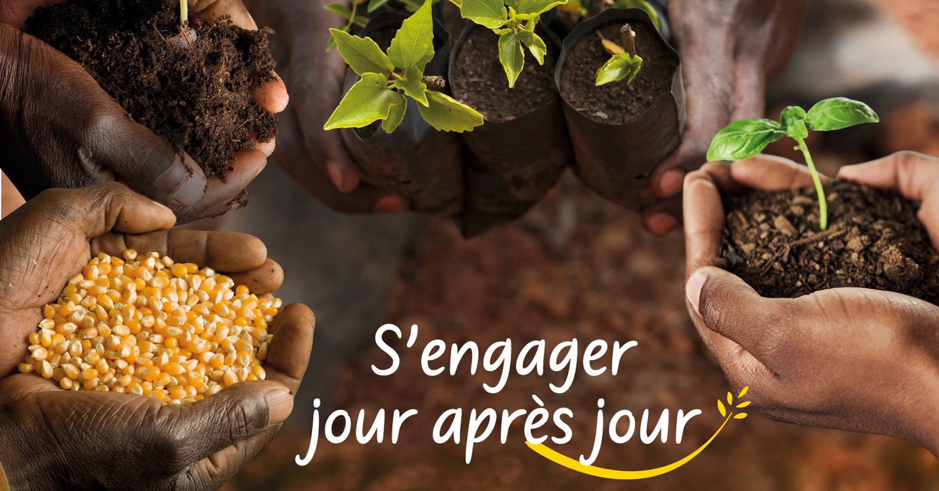 BADF - Banque Agricole du Faso | Crédits & Services Bancaires